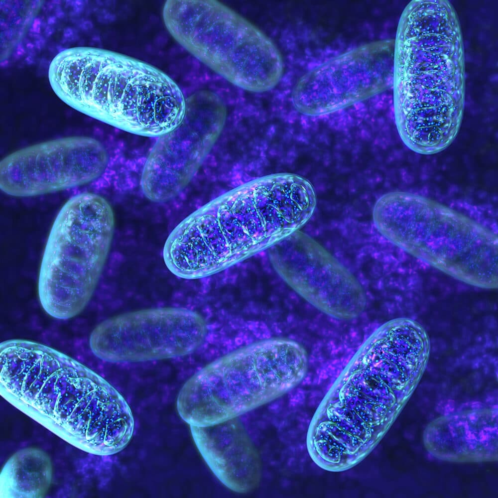 How cell death affects your health