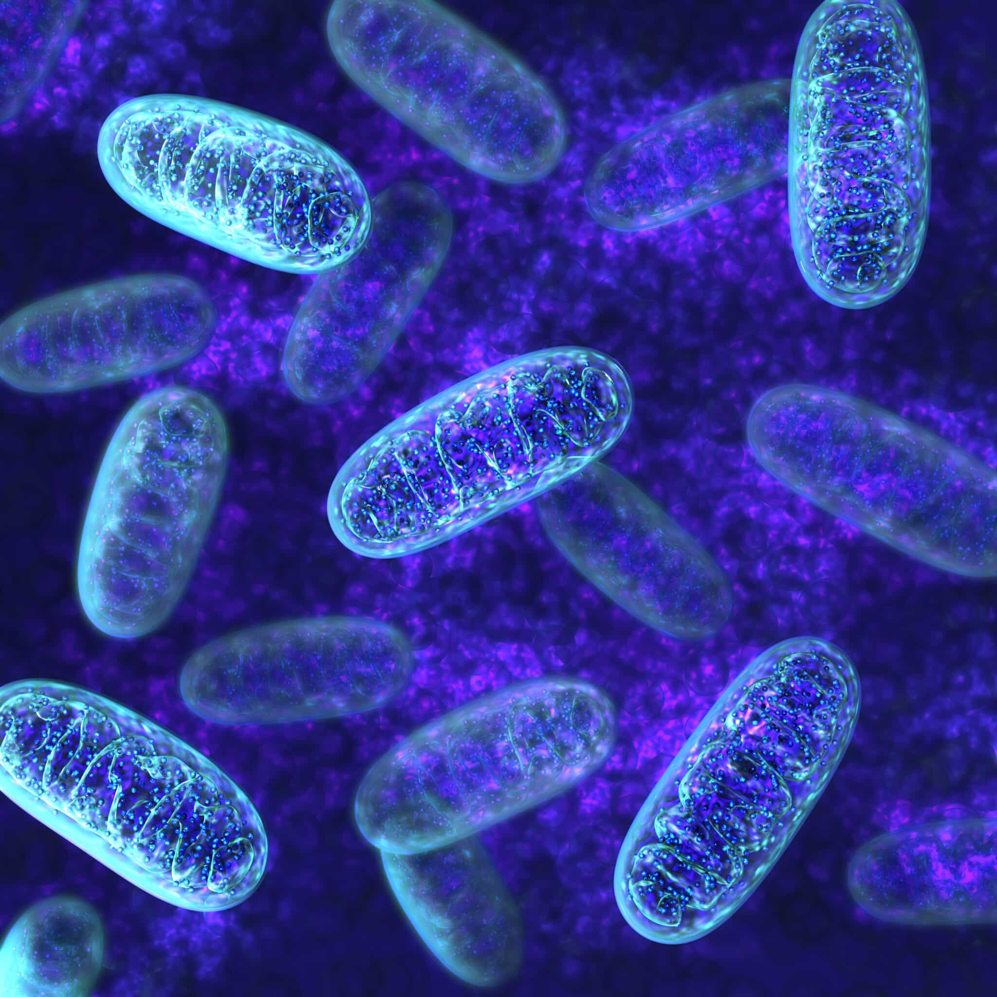 How cell death affects your health