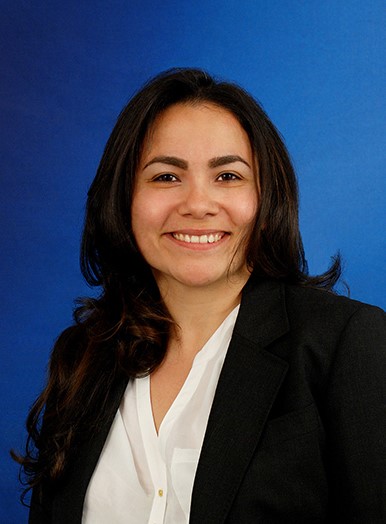 Board of Directors | Hudson Institute of Medical Research