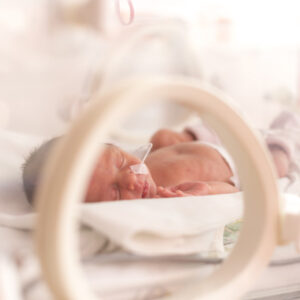 Creatine and pregnancy: what you need to know